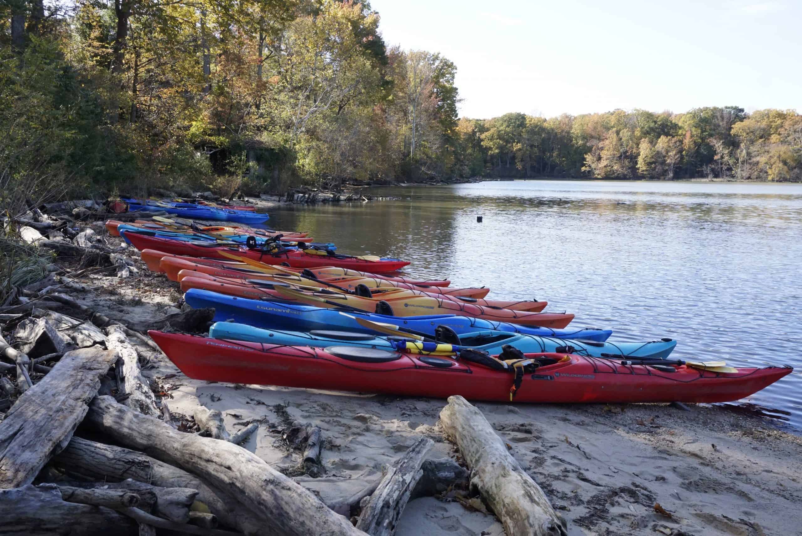 Kayaking among the Ghost Fleet of Mallows Bay | GenXTraveler