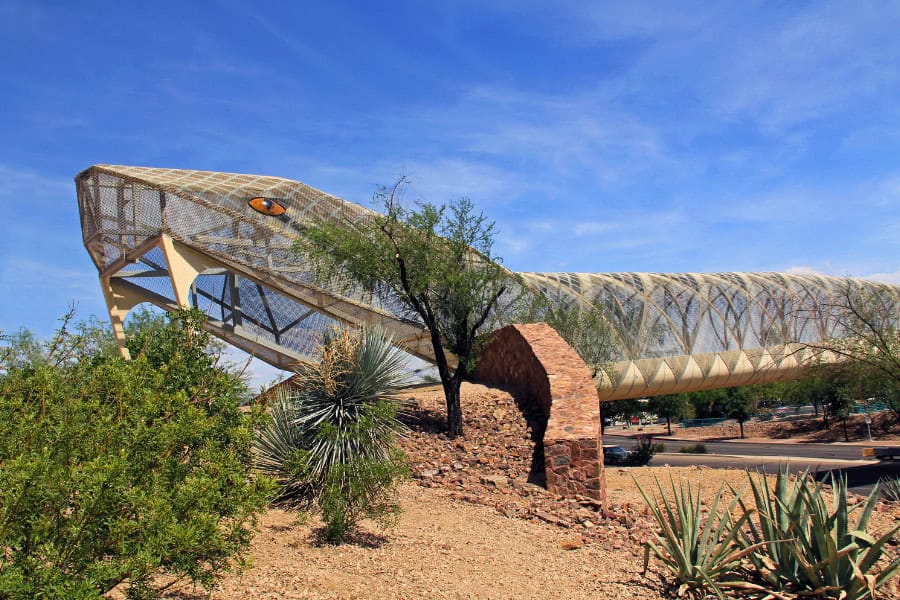 The 8 Best Things To Do in Tucson, Arizona | GenXTraveler