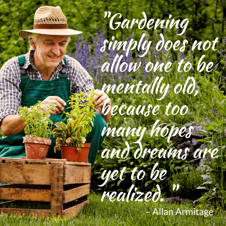 125+ Funny Gardening Quotes: Garden Wit and Wisdom | GenXTraveler